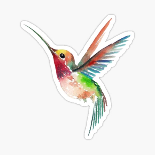 "Cute colibri" Sticker for Sale by AddyRo | Redbubble