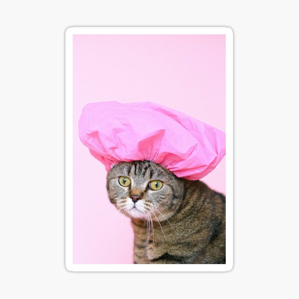"cat with shower cap" Sticker for Sale by DTMoffett | Redbubble