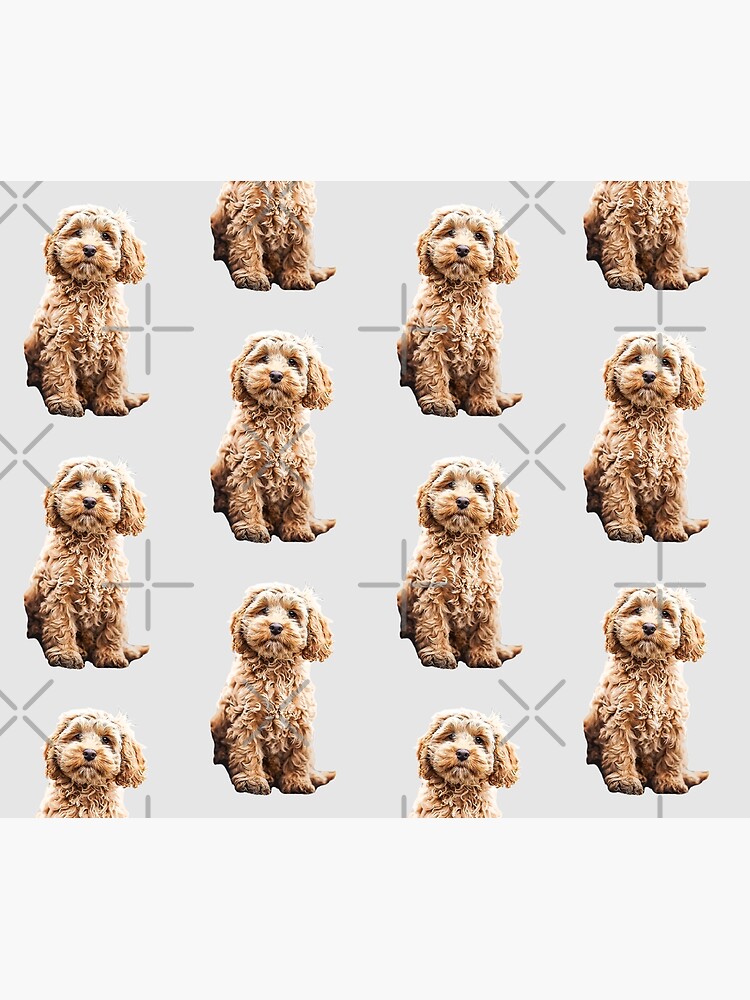 "Cockapoo Cavoodle Labradoodle Cute Puppy Dog- Poodle x" Throw Blanket ...