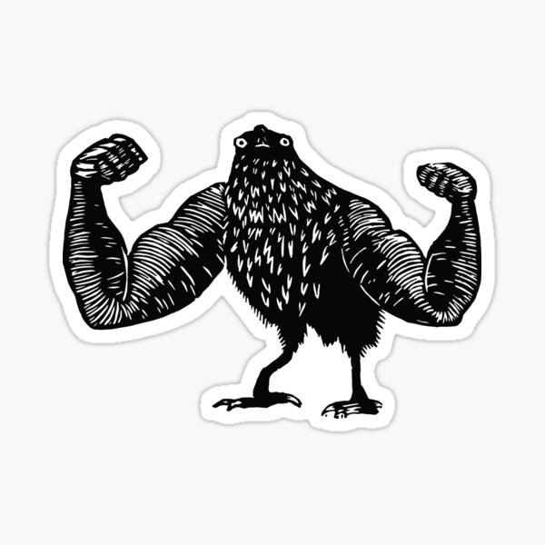 "Muscle Bird" Sticker for Sale by quitteesingme | Redbubble