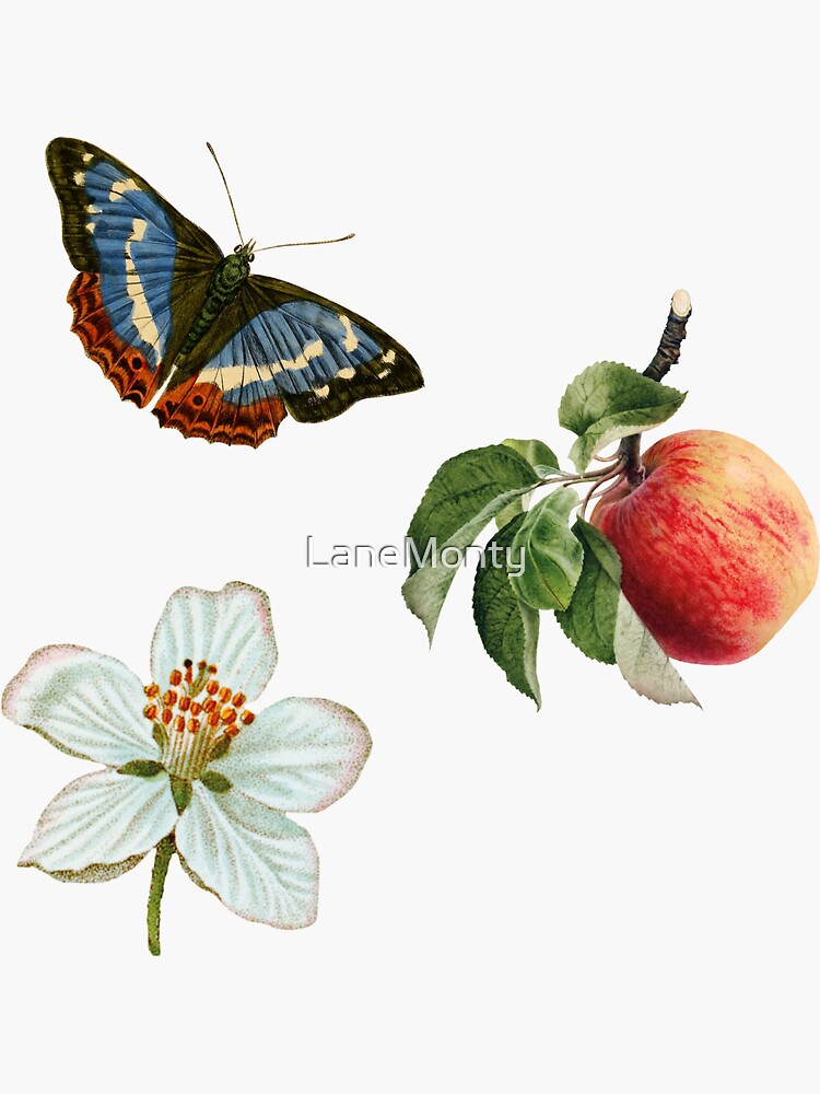 "Cute Cottagecore Sticker 3 Pack | Vintage aesthetic Apple Blossom ...
