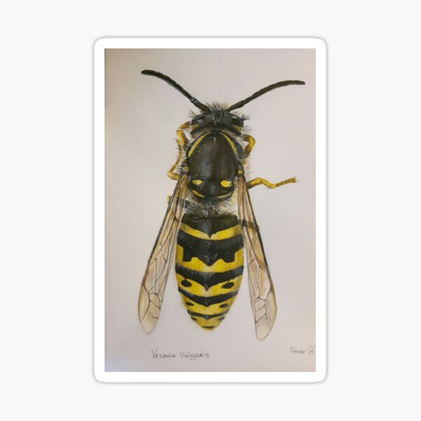 "Wasp" Sticker by la5me | Redbubble