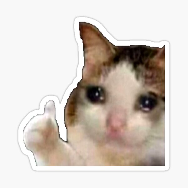 "Sad cat meme" Sticker for Sale by Shrewd-Mood | Redbubble