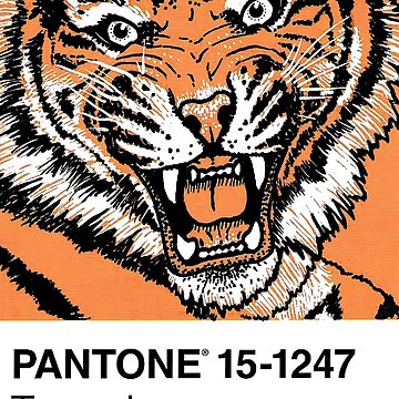 "Pantone 15-1247 Tangerine Tiger" Sticker for Sale by HollyHDesigns ...