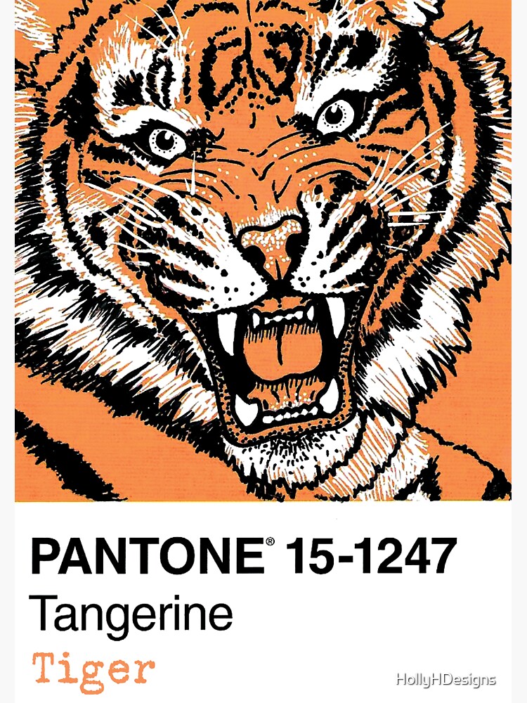 "Pantone 15-1247 Tangerine Tiger" Sticker for Sale by HollyHDesigns ...