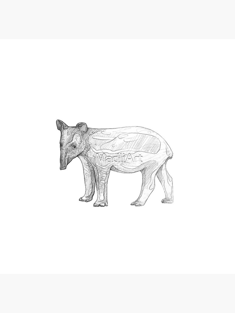 "Malayan Tapir - Art Illustration - Monochromatic Pencil Line Sketch ...