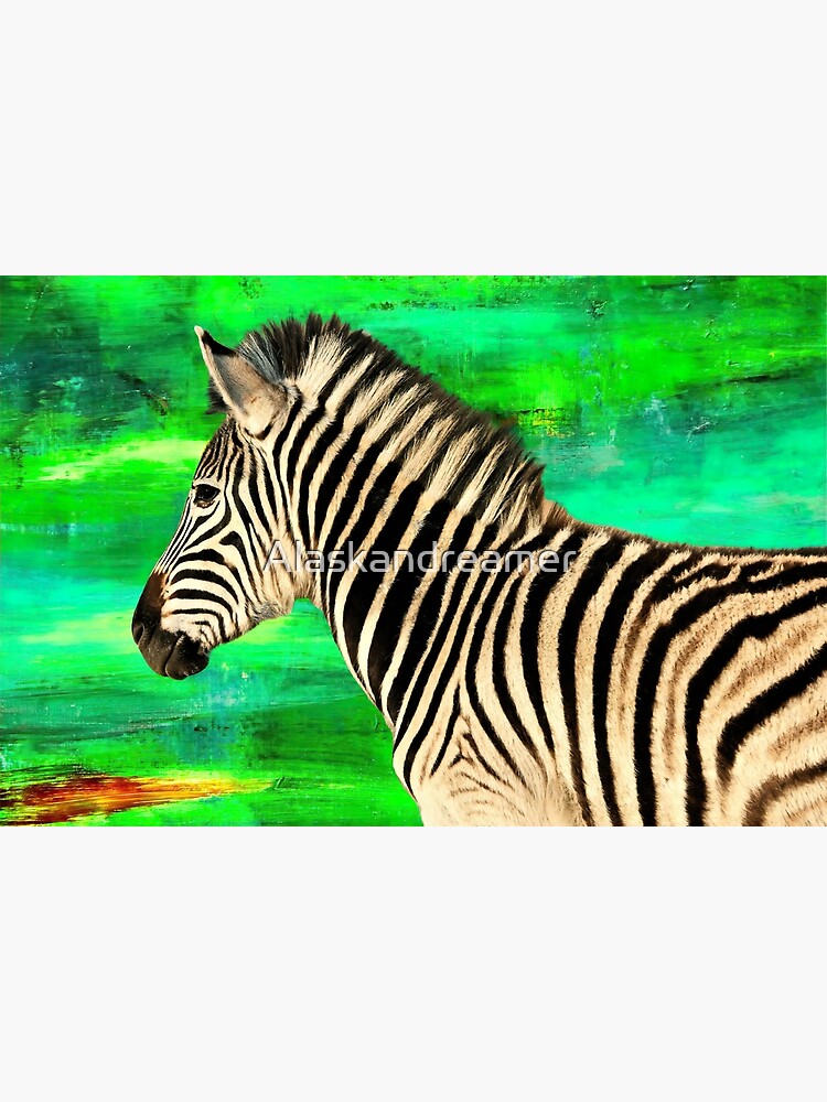 "Zebra on an Abstract Green Background" Canvas Print for Sale by ...