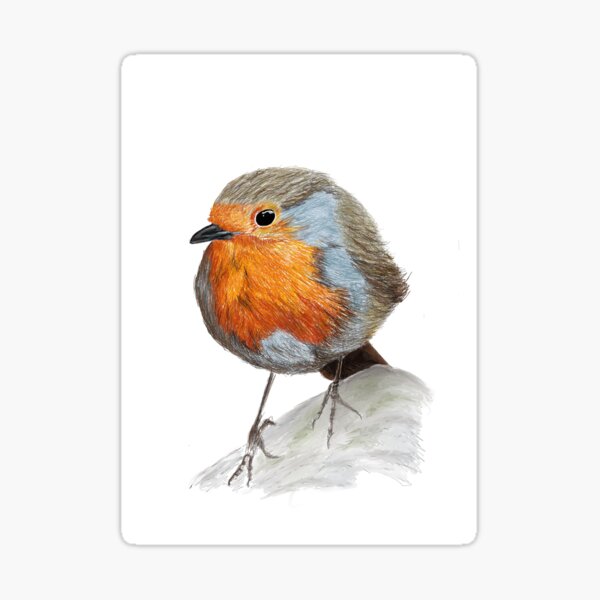 "Little Red Robin" Sticker for Sale by MMWART123 | Redbubble