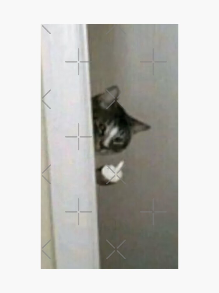 "Funny Cat holding Up Middle Finger | hilarious Gift For Cats Lover ...