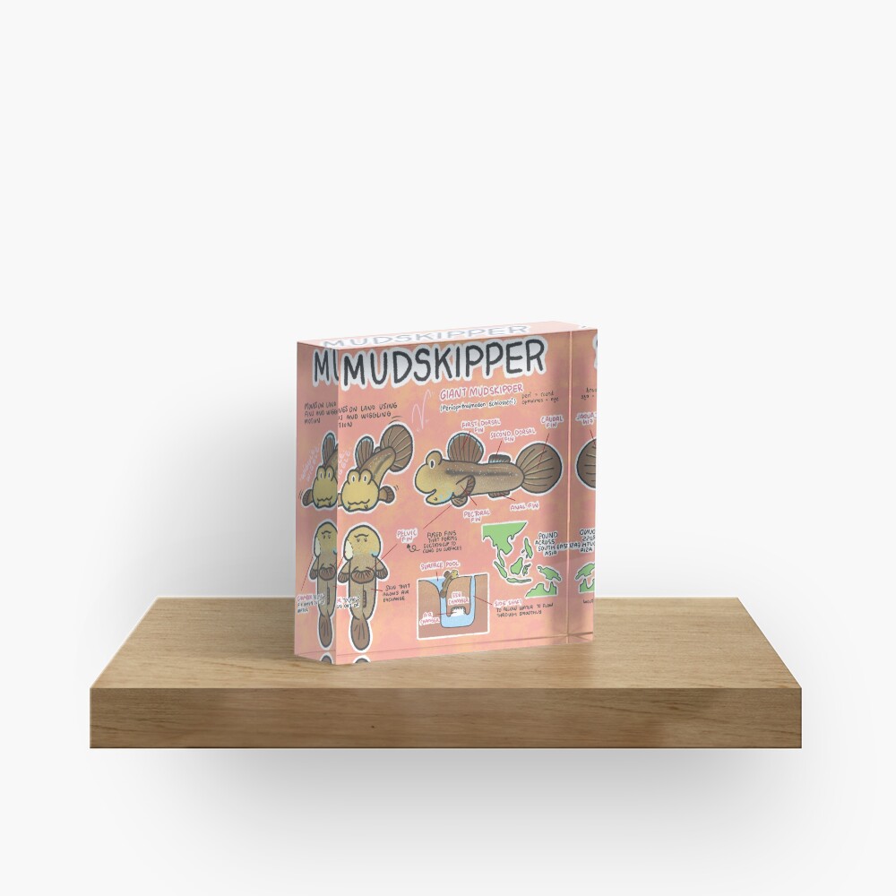 "Mudskipper in a nutshell" Poster for Sale by whaletinyfish | Redbubble
