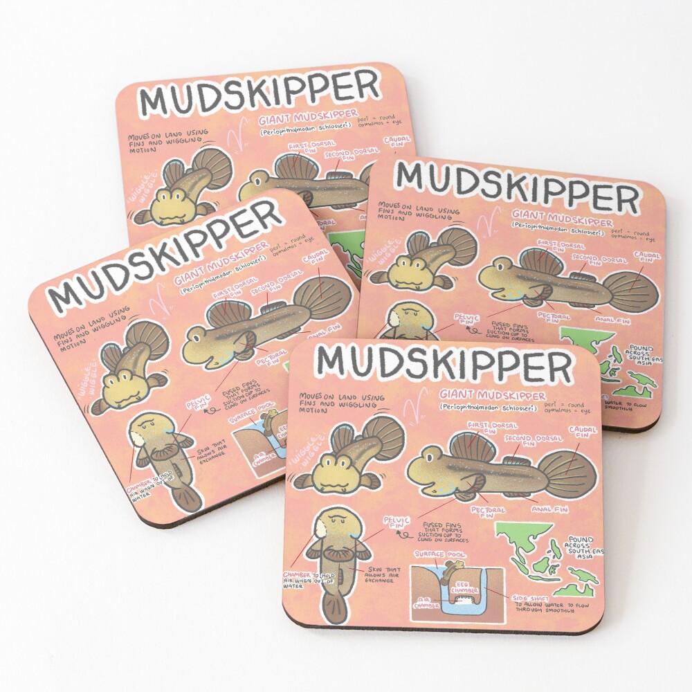 "Mudskipper in a nutshell" Poster for Sale by whaletinyfish | Redbubble