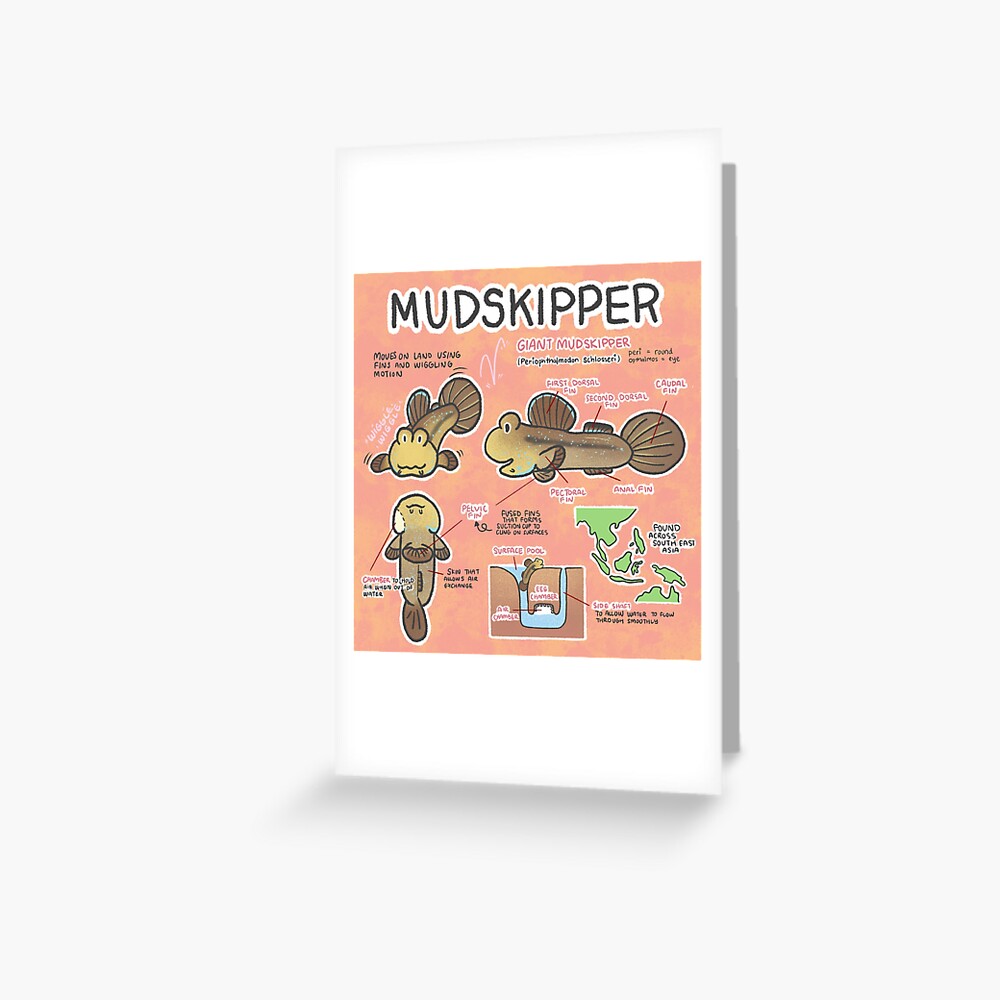 "Mudskipper in a nutshell" Poster for Sale by whaletinyfish | Redbubble