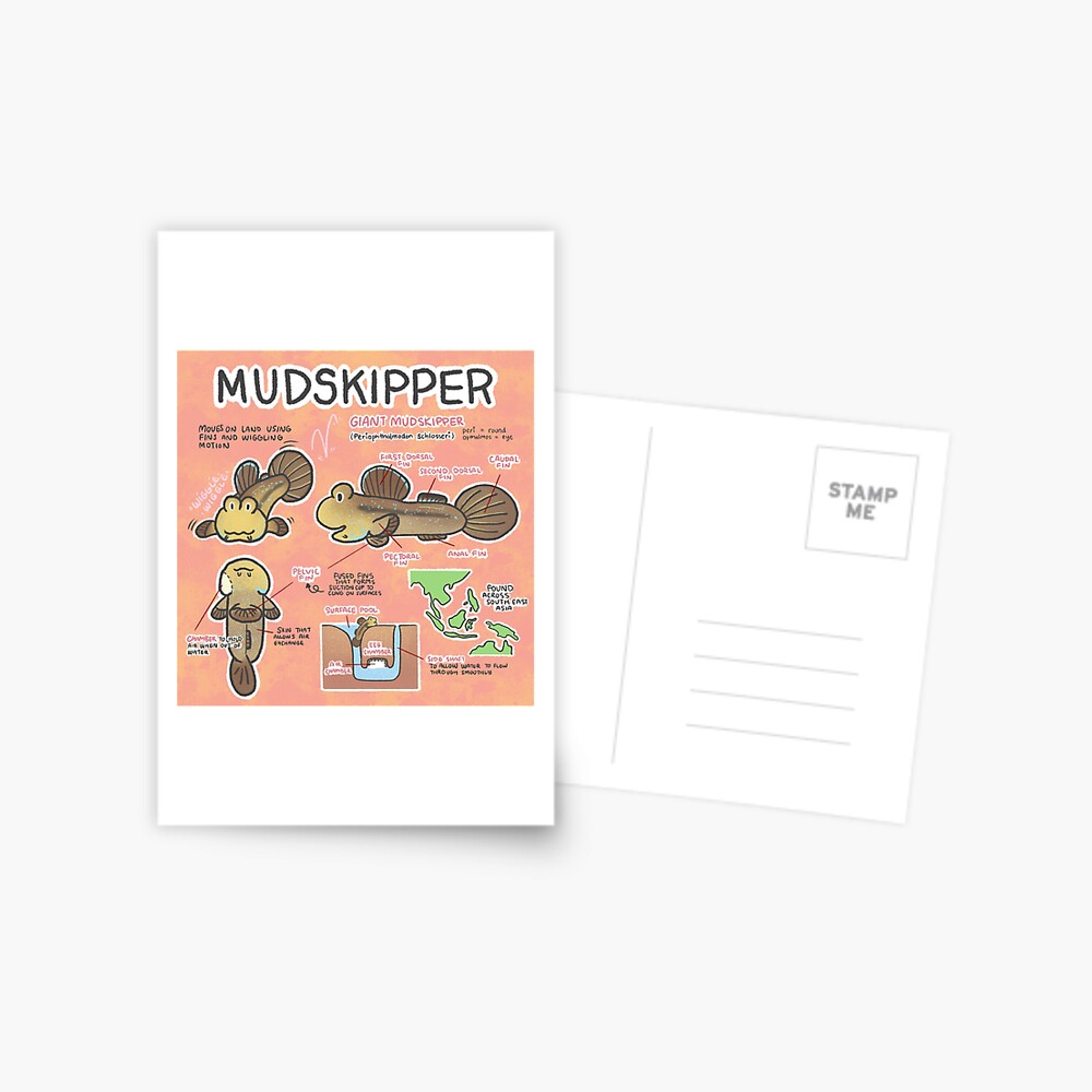 "Mudskipper in a nutshell" Poster for Sale by whaletinyfish | Redbubble