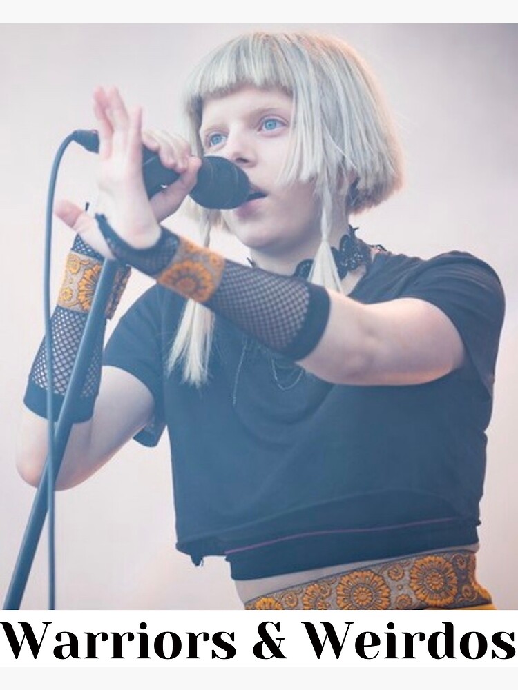 "AURORA FANS COLLECTION" Poster for Sale by DaVinciWork | Redbubble