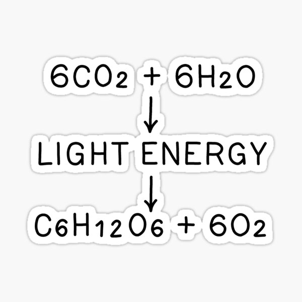 "Photosynthesis" Sticker for Sale by ValentinaHramov | Redbubble