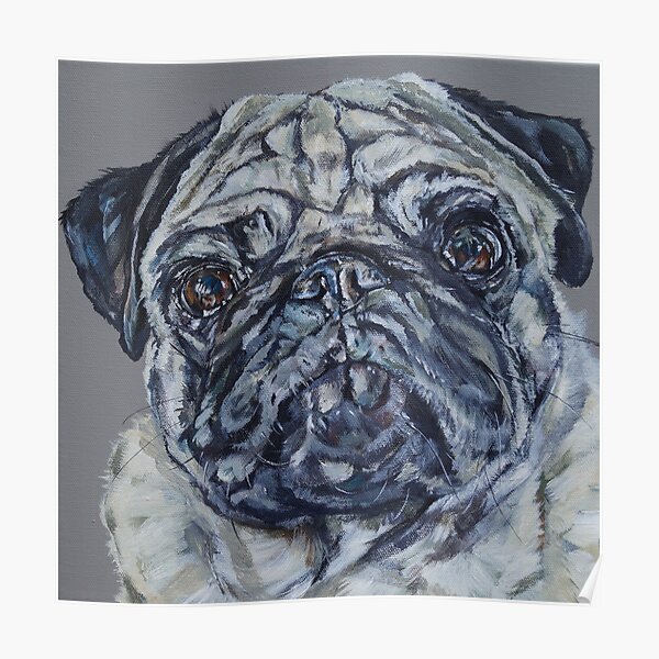 Poster « Ronnie. Peinture de chien carlin par l'artiste britannique ...