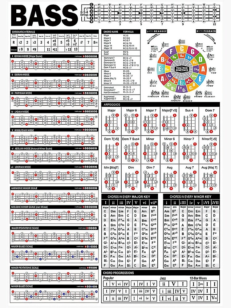 Bass Guitar Chords Knowledge Poster Premium Matte Vertical Poster sold ... Bass Guitar Chords Knowledge Poster Premium Matte Vertical Poster sold ...
