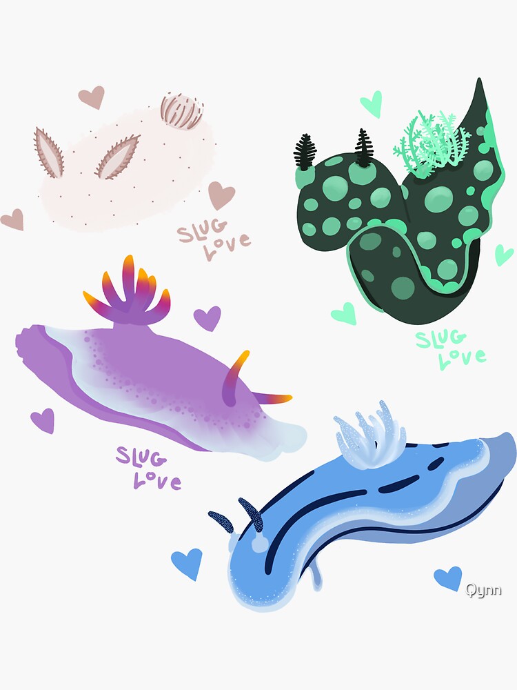 "Sea Slug Sticker Set" Sticker by Qynn | Redbubble