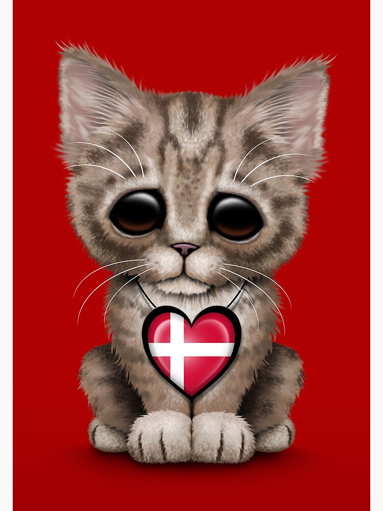 Kitty Cat With Denmark Flag Meet Our New Addition, Frida! 😻 She Was