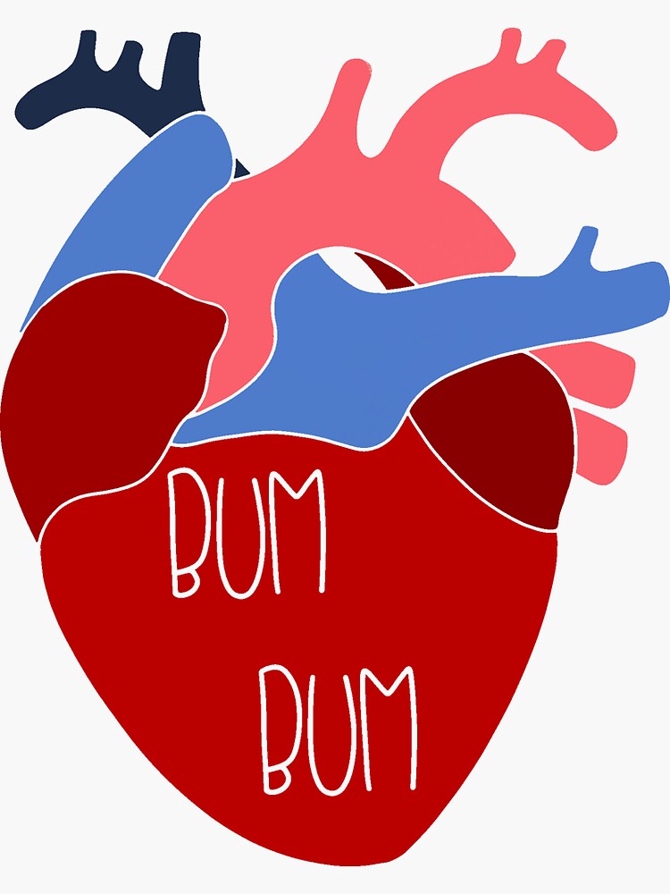 "Bum bum - heart beating" Sticker for Sale by Doodleslover | Redbubble