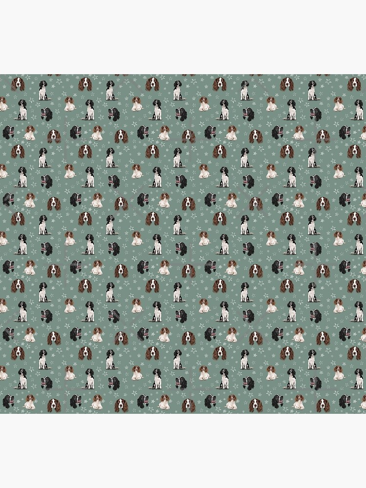 "The Springer Spaniel" Socks for Sale by Elspeth Rose | Redbubble