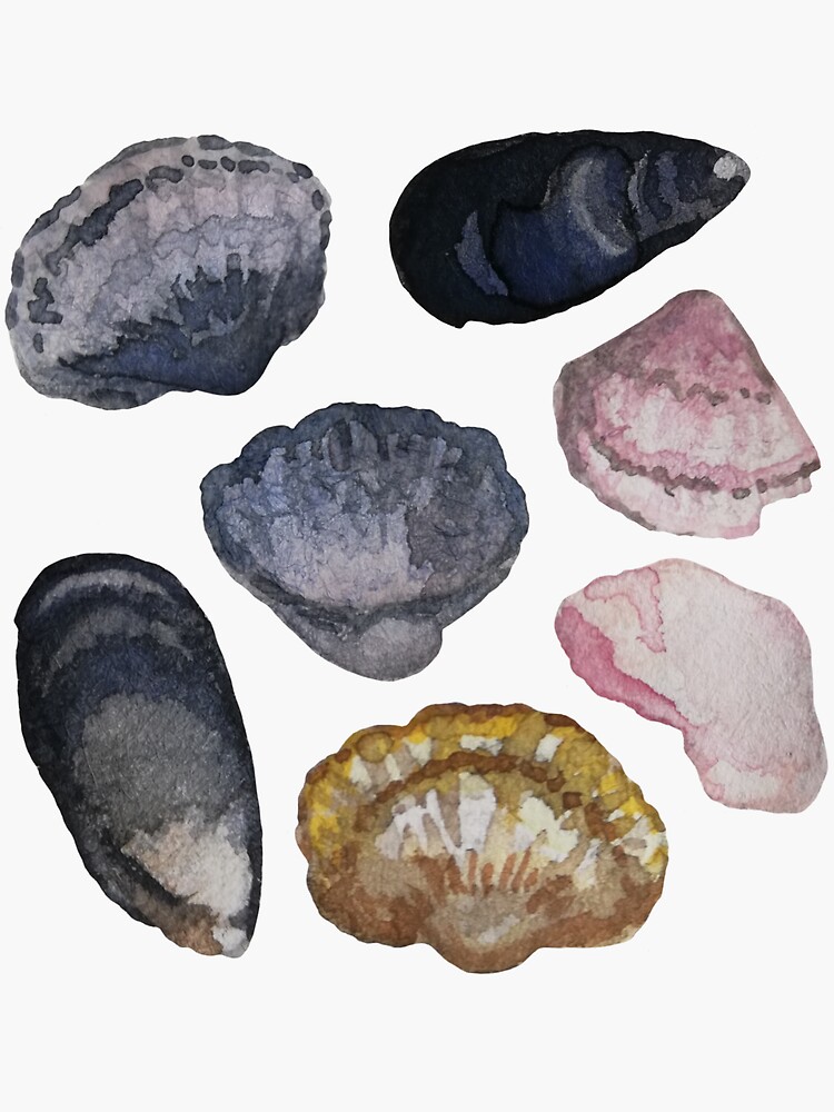 "Watercolor Seashells Sticker Pack" Sticker by anianthe | Redbubble