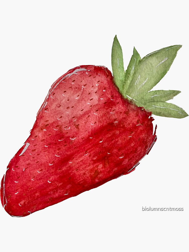"fresa " Sticker by biolumnscntmoss | Redbubble