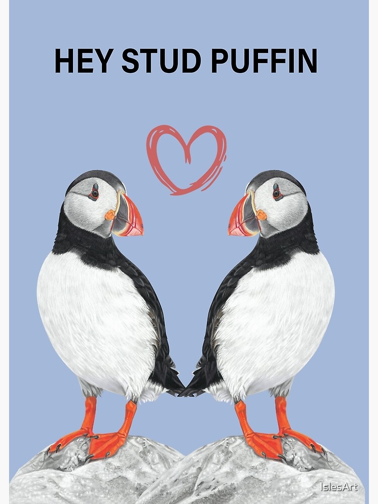 "Stud Puffin on sky blue background- Stud muffin - Puffin couple ...