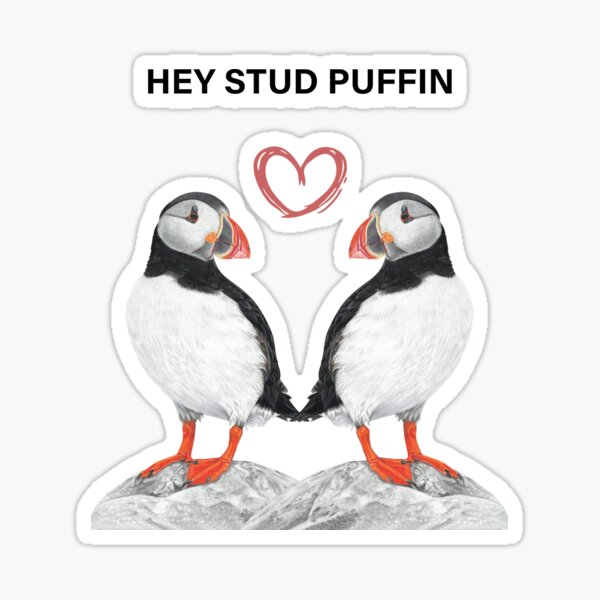 "Stud Puffin on sky blue background- Stud muffin - Puffin couple ...