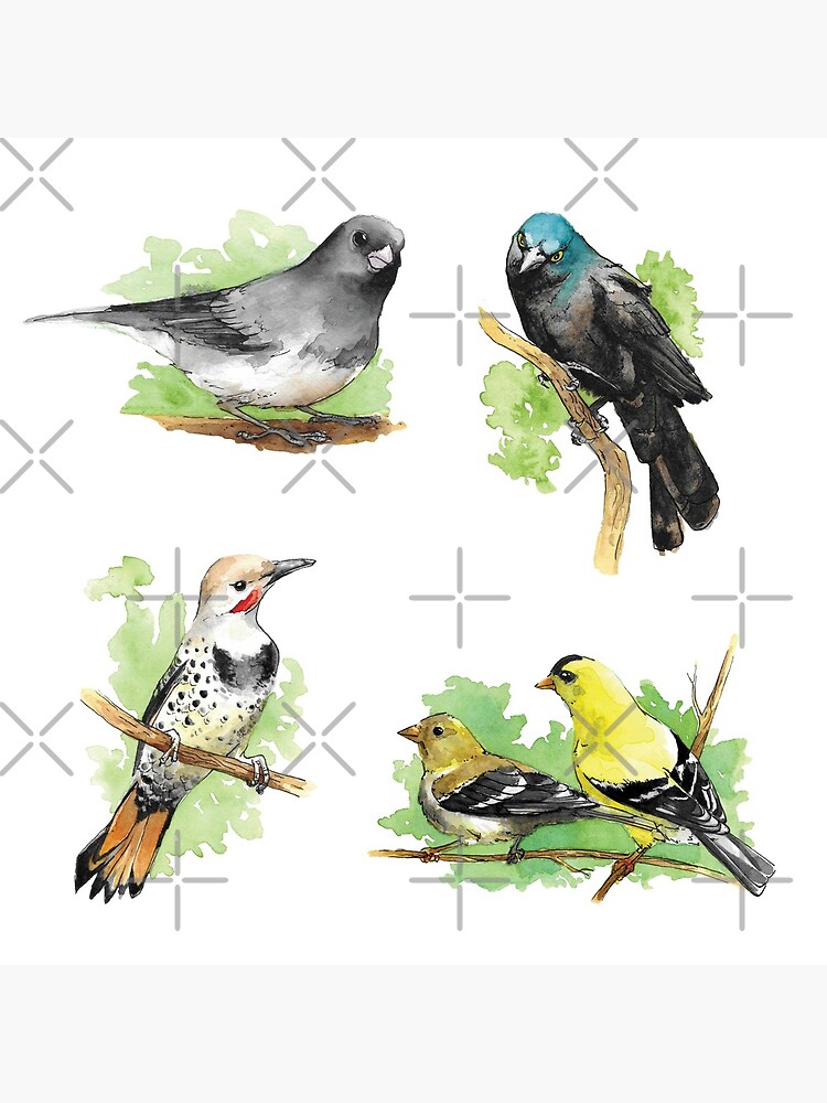 "Watercolor North American Backyard Birds Pack - Dark-Eyed Junco ...