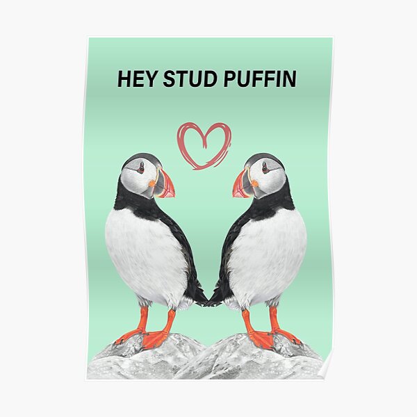 "Stud Puffin on mint green background- Stud muffin - Puffin couple ...