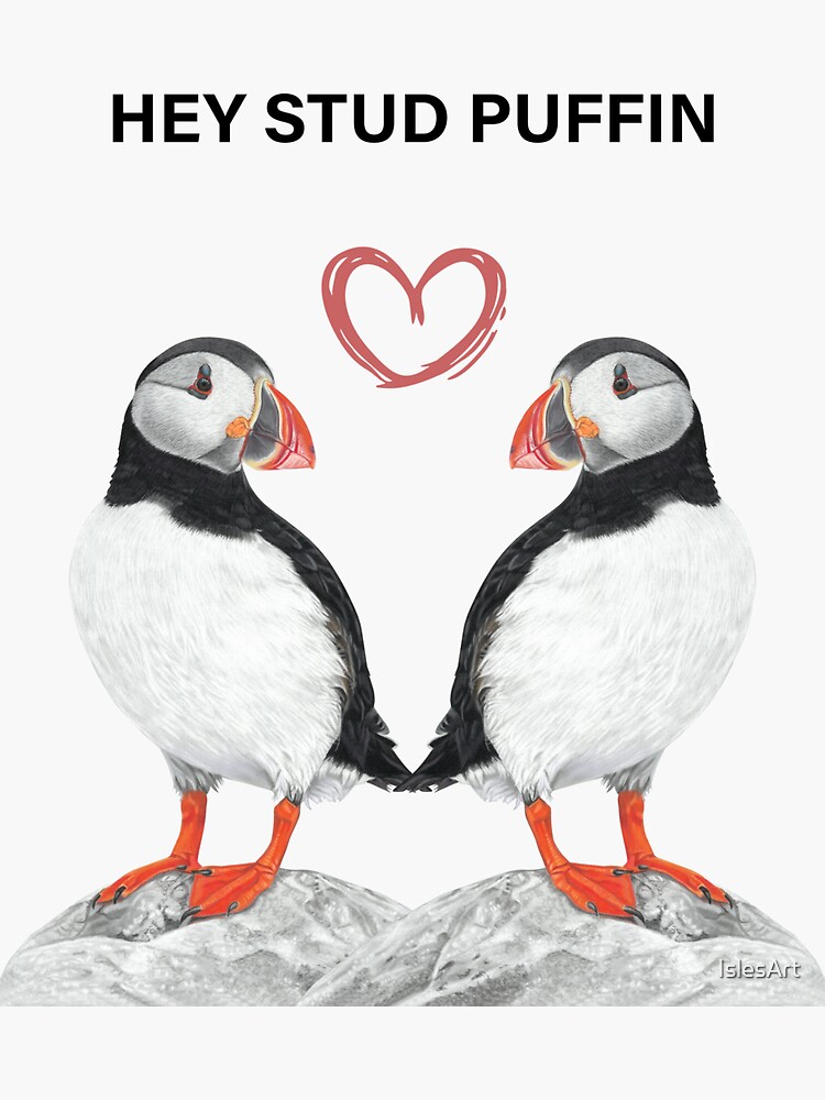 "Stud Puffin on mint green background- Stud muffin - Puffin couple ...
