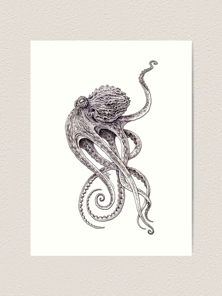 "Cephalopod" Art Print for Sale by taojb | Redbubble