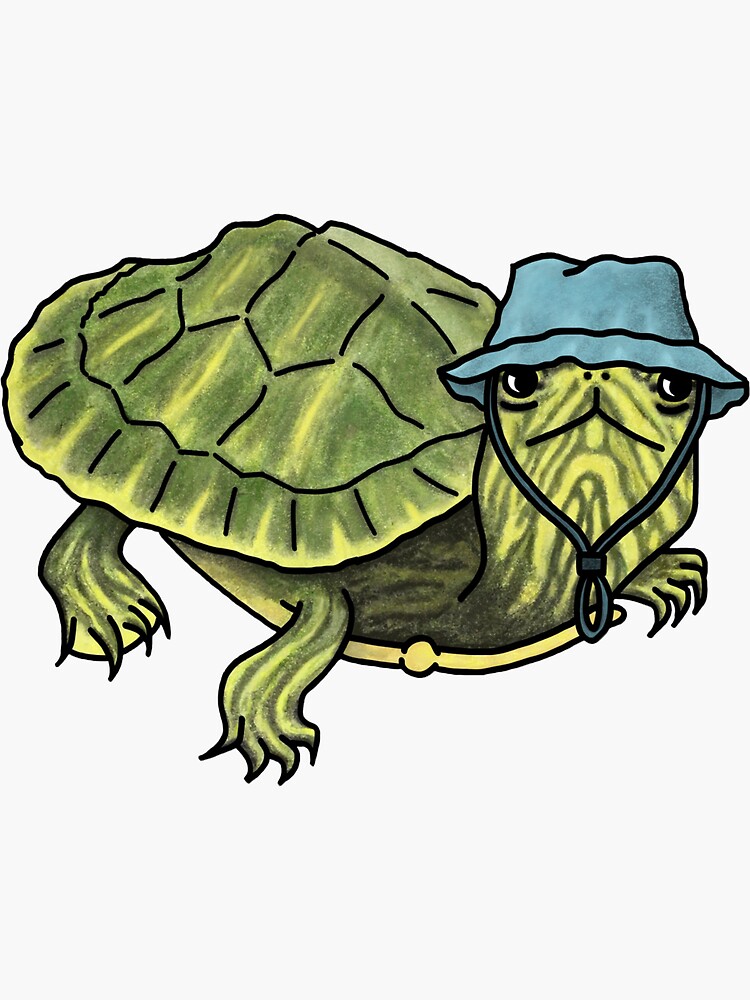 "Sheldon the Turtle" Sticker for Sale by CharityCreaturz | Redbubble