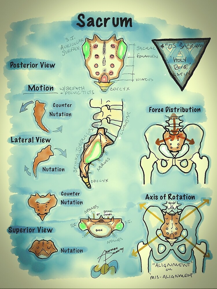 "Sacrum" Poster for Sale by AdaptablePolar | Redbubble
