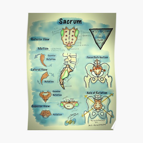 "Sacrum" Poster by AdaptablePolar | Redbubble