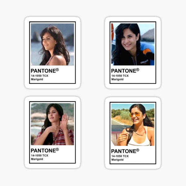 "Pantone Katrina Kaif (Zindagi Na Milegi Dobara)" Sticker by ...