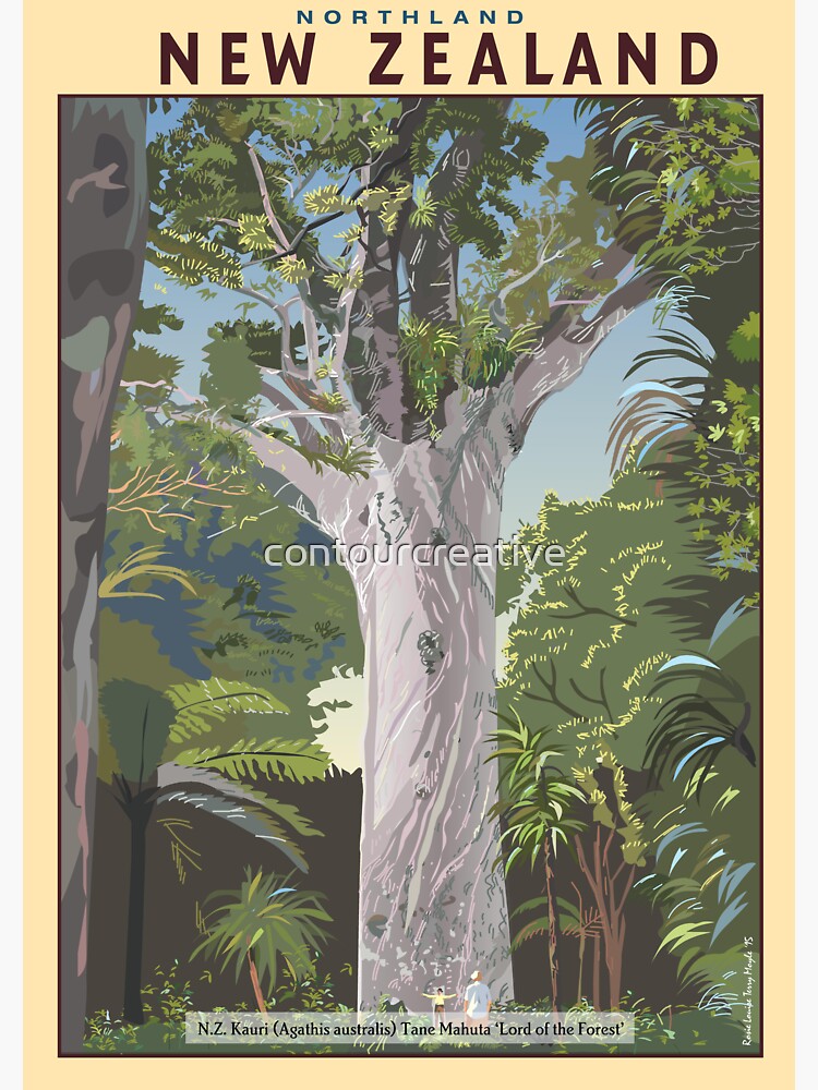 "New Zealand Kauri Tree - Tane Mahuta" Sticker for Sale by ...