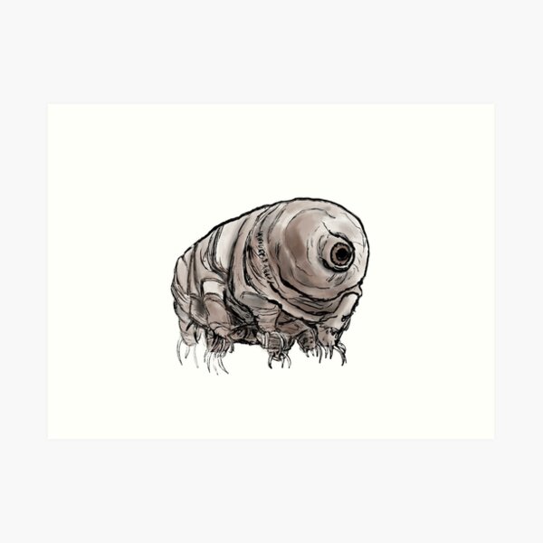 Tardigrade Art Prints | Redbubble