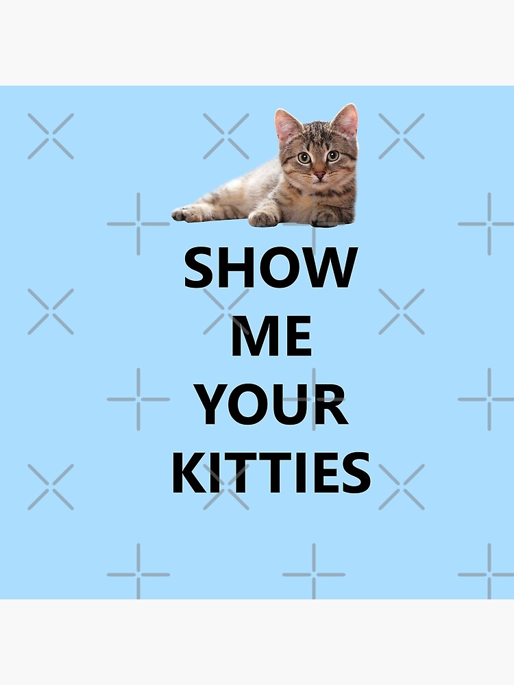 "show me your kitties (blue version)" Poster by joventinguarezi | Redbubble