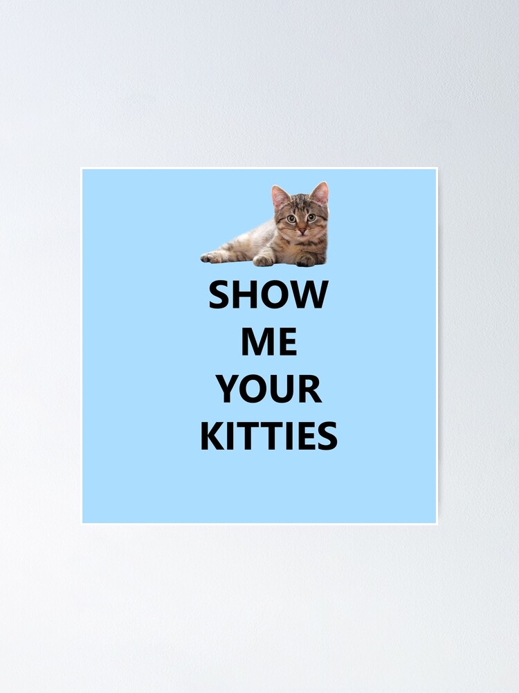 "show me your kitties (blue version)" Poster by joventinguarezi | Redbubble