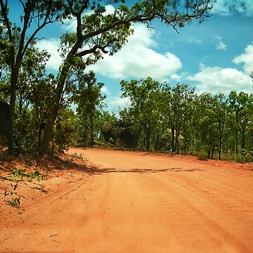 "Bull Dust Road" Postcard for Sale by V1mage | Redbubble