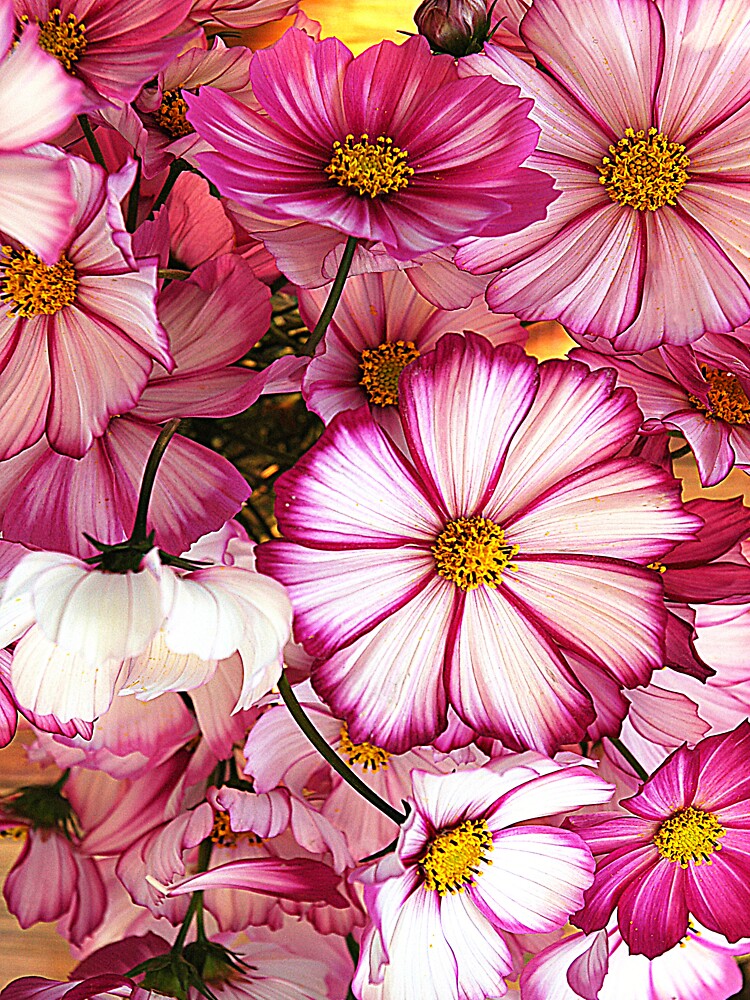 "COSMOS" Sticker by SUEperPIX | Redbubble