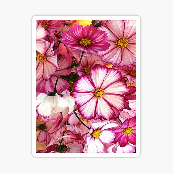"COSMOS" Sticker by SUEperPIX | Redbubble