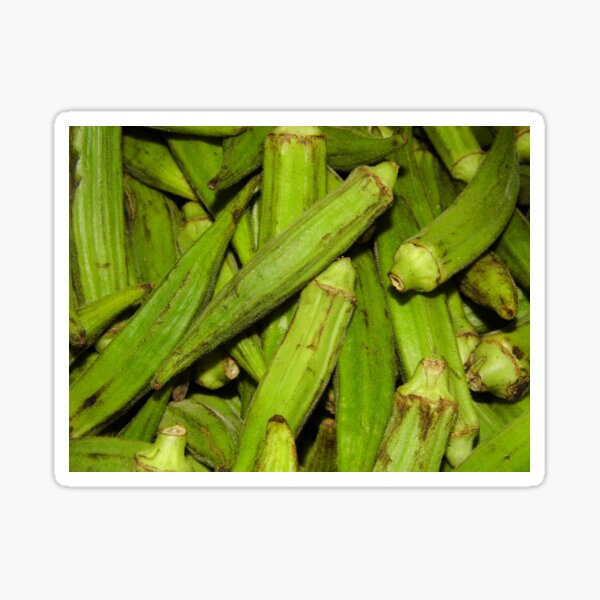 Okra Gifts & Merchandise for Sale | Redbubble