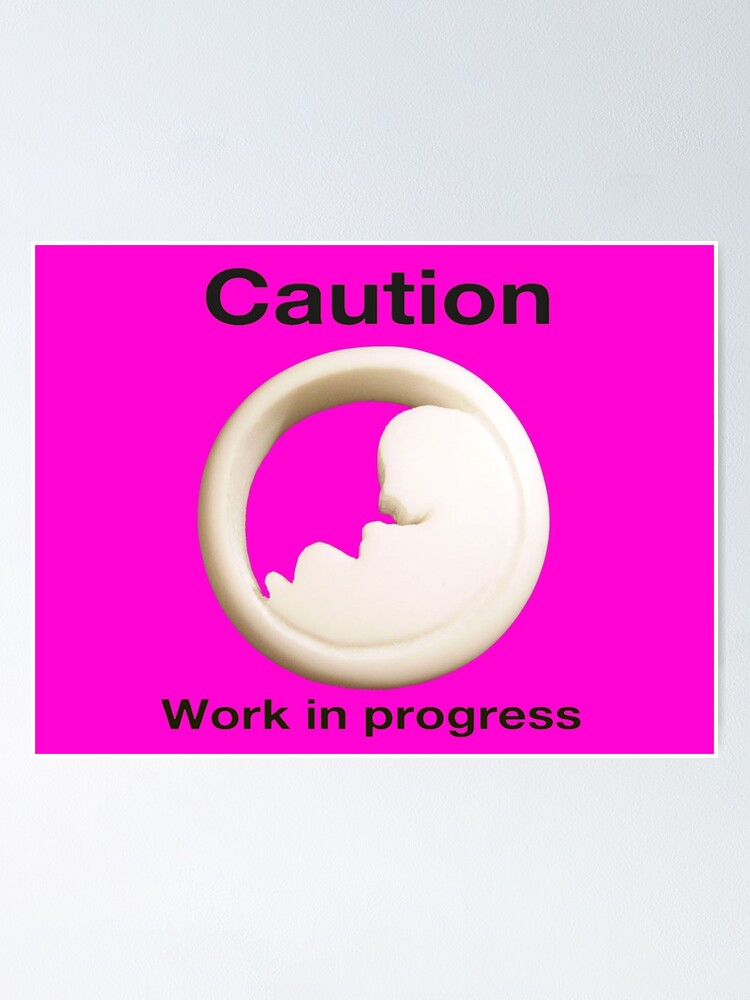"Work in progress" Poster by DrTigrou | Redbubble