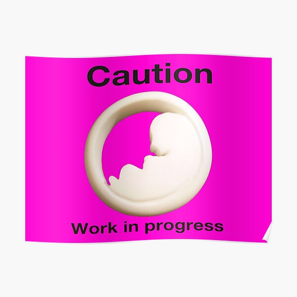 "Work in progress" Poster by DrTigrou | Redbubble