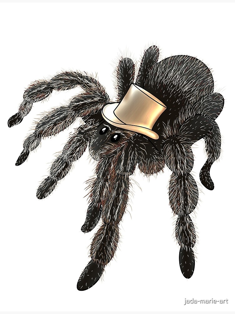 "Top hats and Tip Taps Tarantula " Art Print for Sale by jada-marie-art ...
