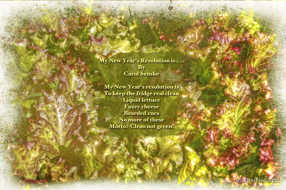 "My New Year's Resolution Is . . . Poem And Image" by MotherNature2 ...