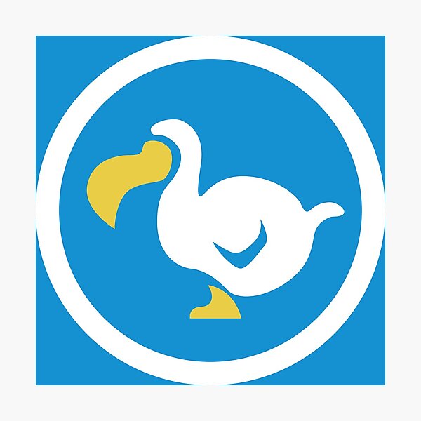 Animal Crossing Dodo Airlines Photographic Prints | Redbubble
